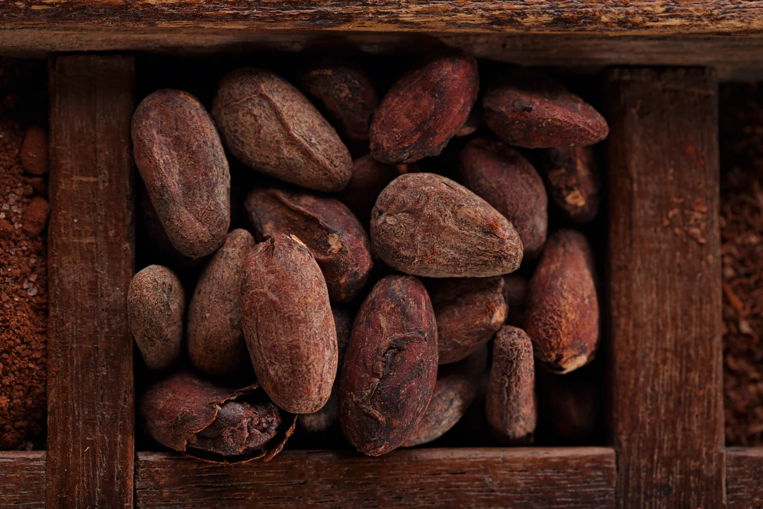 Cocoa Beans