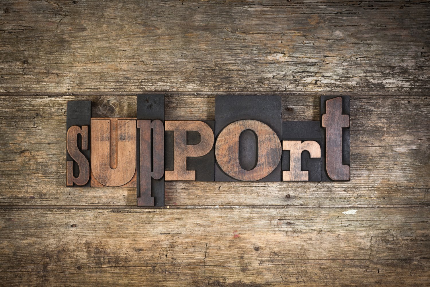 Help/Search — Chocolate Alchemy