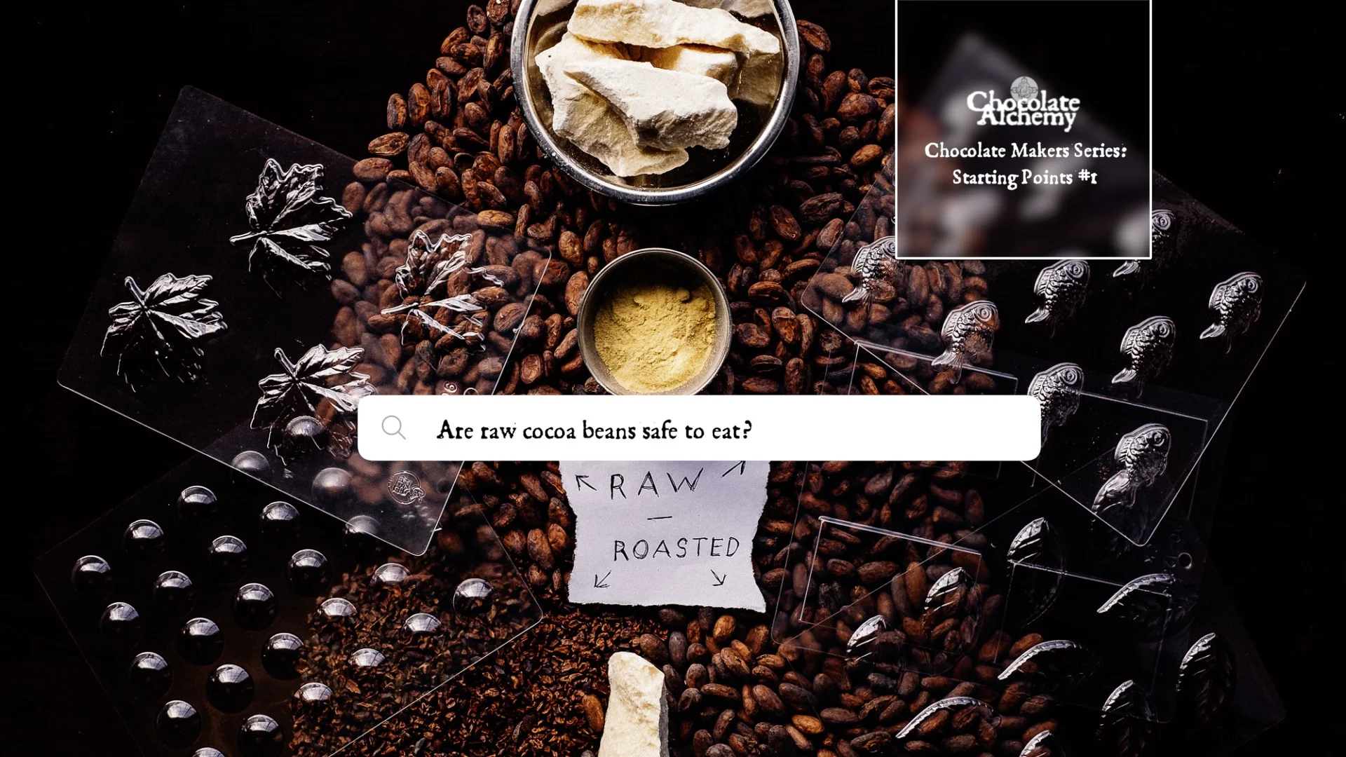 5 Reasons Raw Cocoa Beans aren't meant for Humans — Chocolate Alchemy