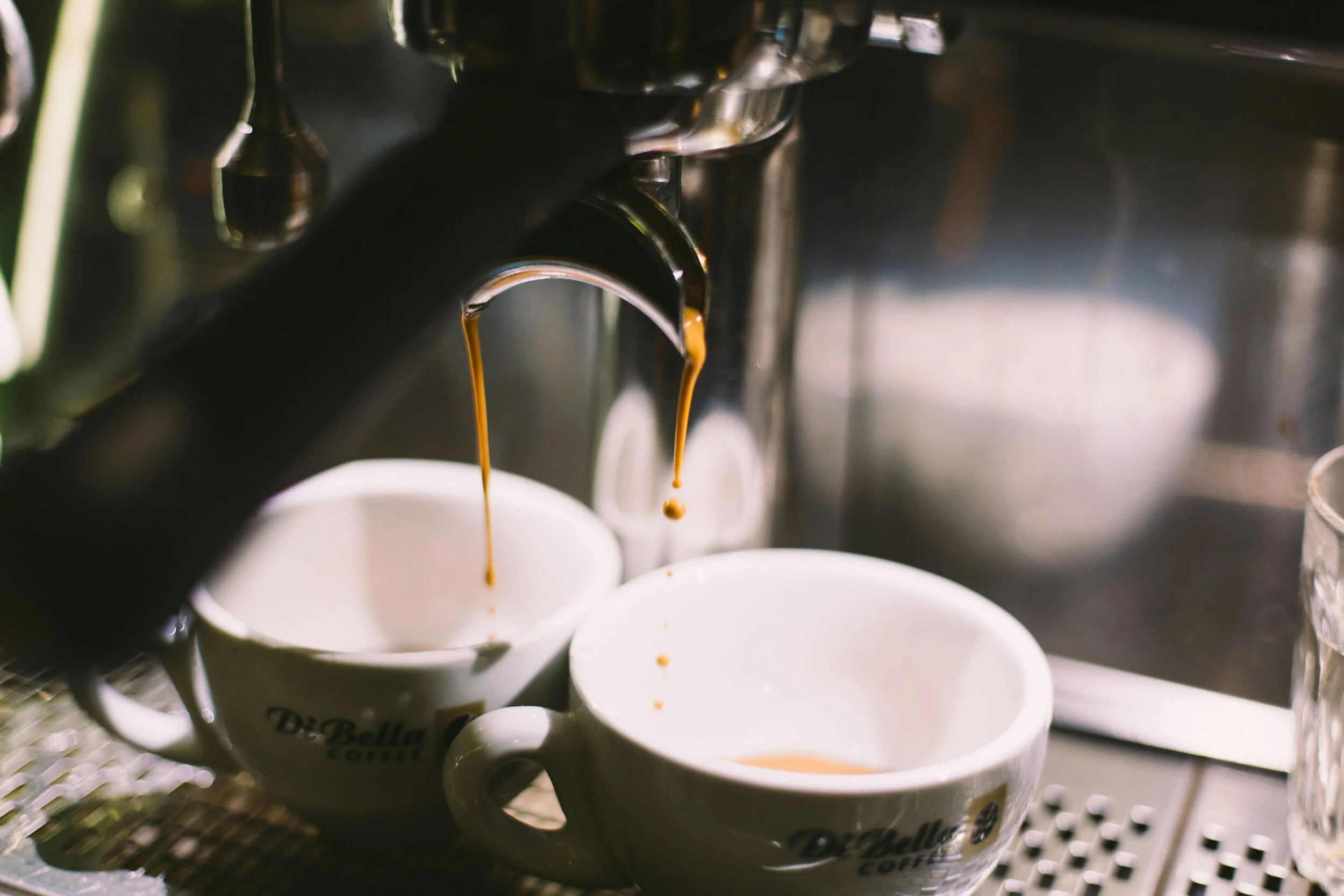 Coffee and Cocoa Guide — Chocolate Alchemy