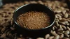 All Things Brewing Cocoa — Chocolate Alchemy