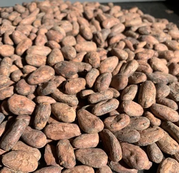 Inventory updates — Chocolate Alchemy