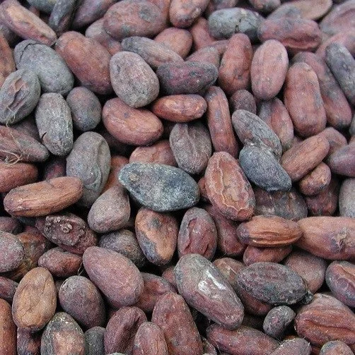Inventory updates — Chocolate Alchemy