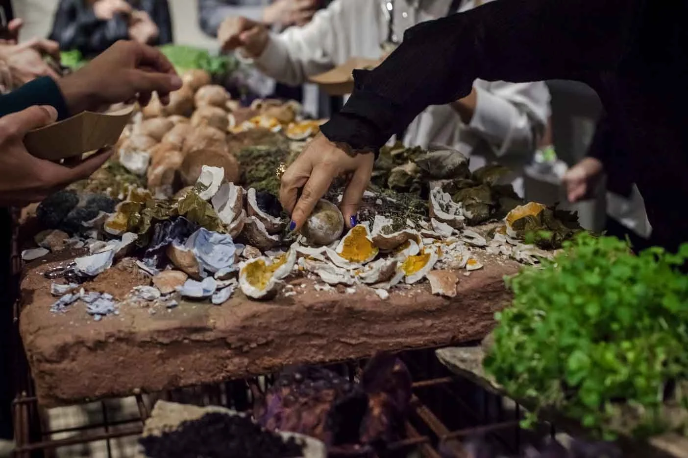 Edible Table Landscape 'Terra Firma' & Sustainable 'Mound Collection ...