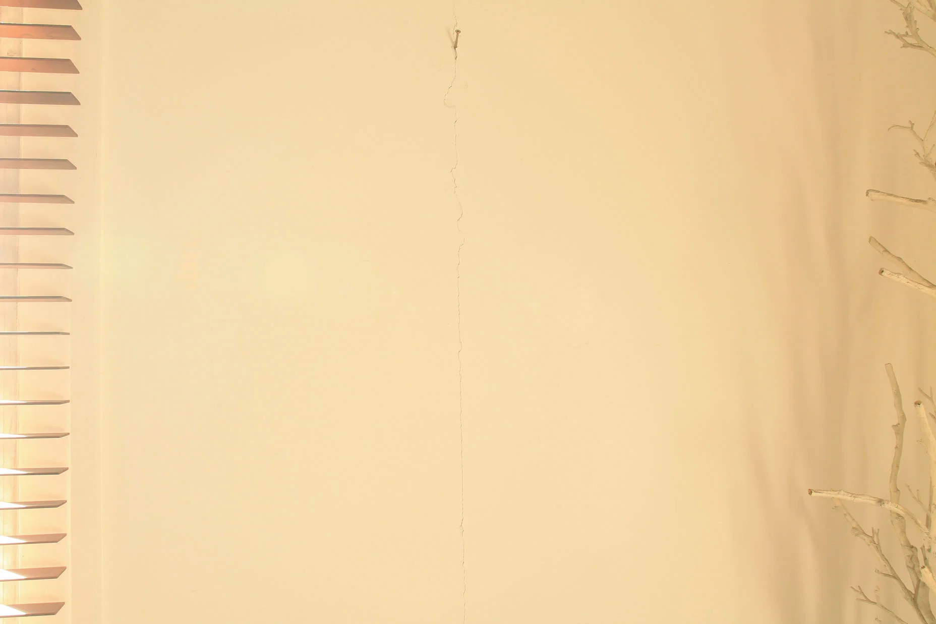 Angela Cornish - Photographer