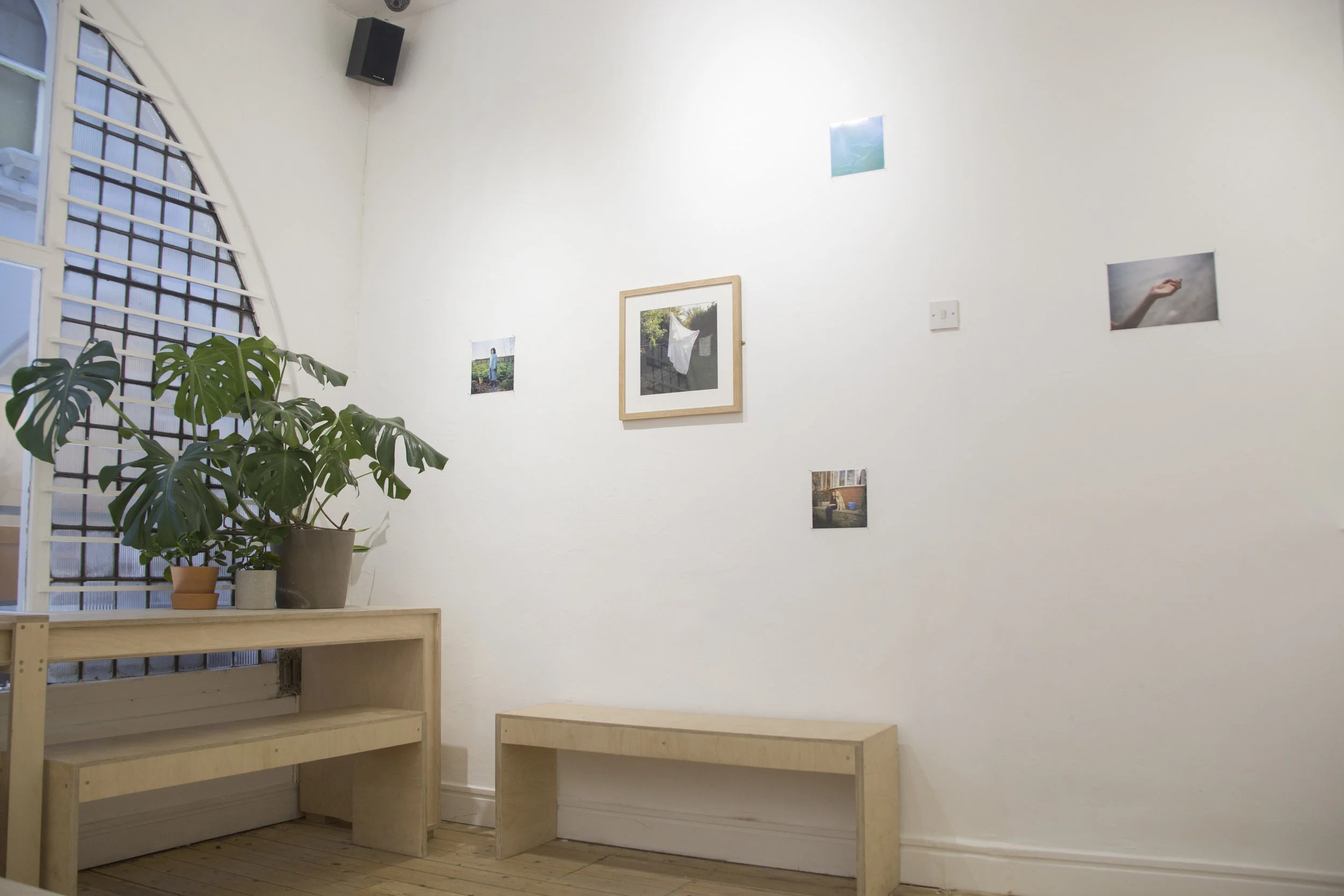 Thomas Duffield - News- 'The whole house is shaking' Book Launch