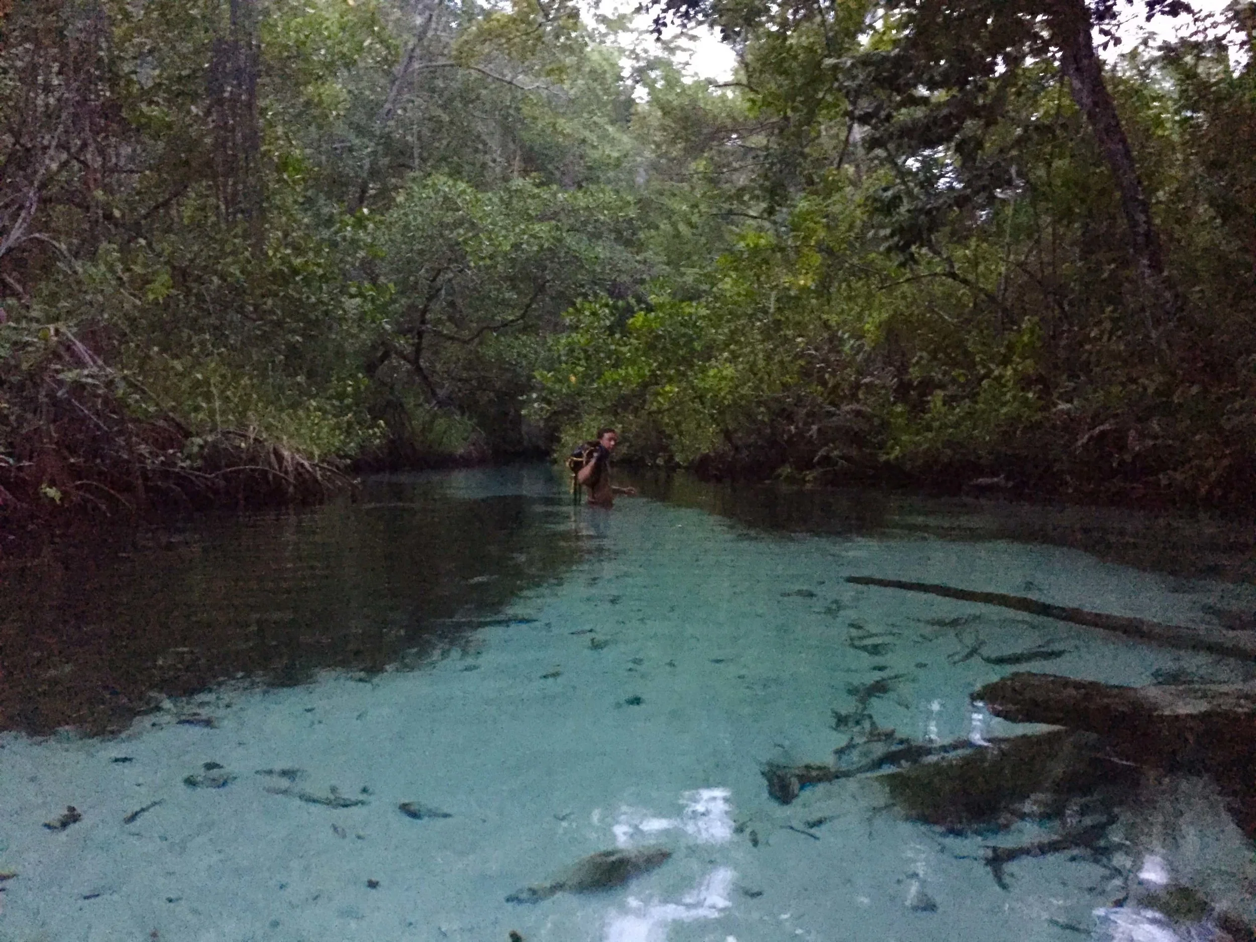 5 Must See Places in the Dominican Republic — First Time Visiting