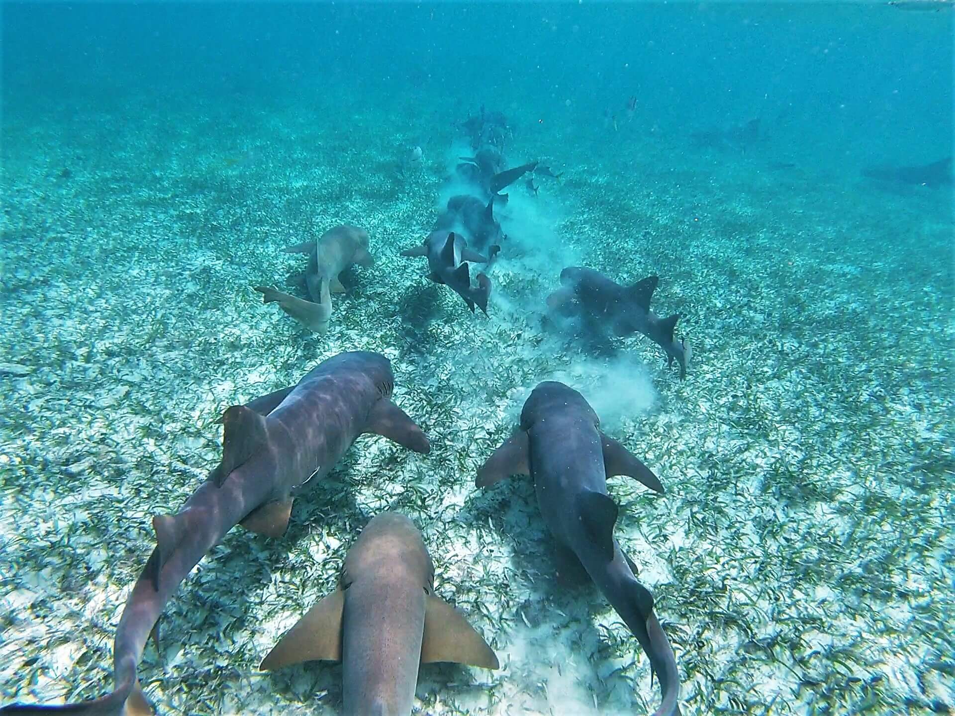 3 things you must do in Belize — First Time Visiting