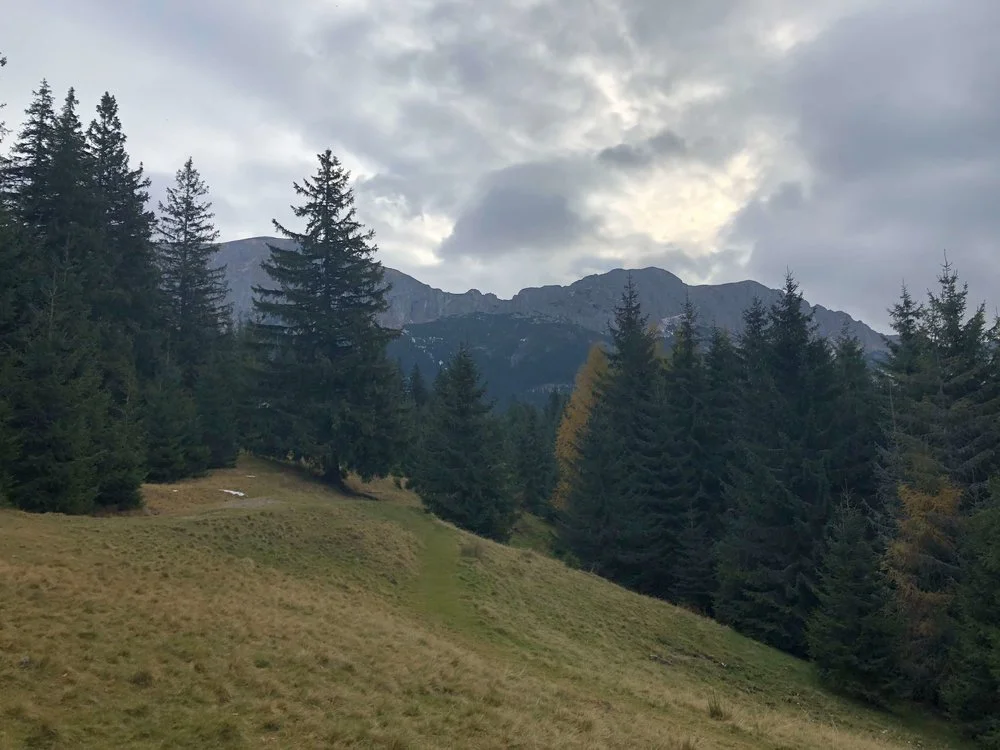 New Orleans Attractions & Discounts Pass – Top Things To Do