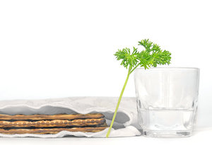 5 Ways to Celebrate Passover — David Wilber