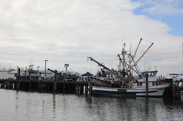 Bellingham Festival | Washington Seafood Festival | SeaFeast