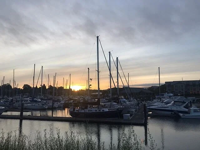 Bellingham Festival | Washington Seafood Festival | SeaFeast