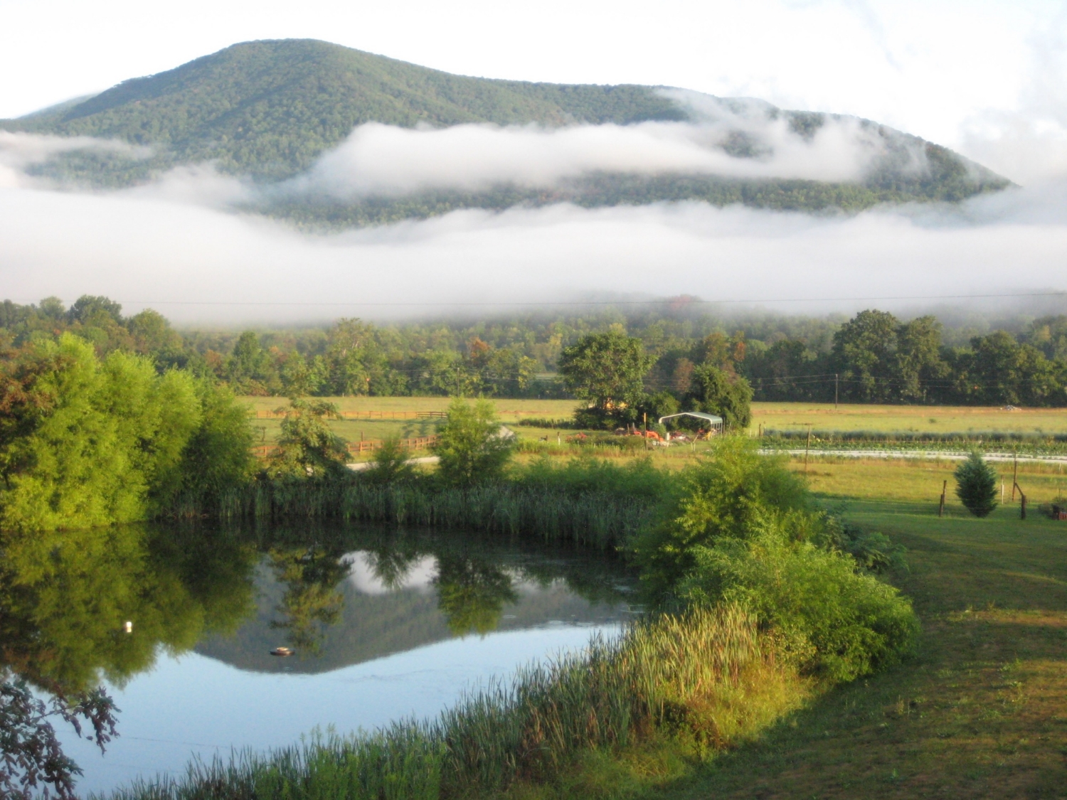 Blue Heron Farm- Photos