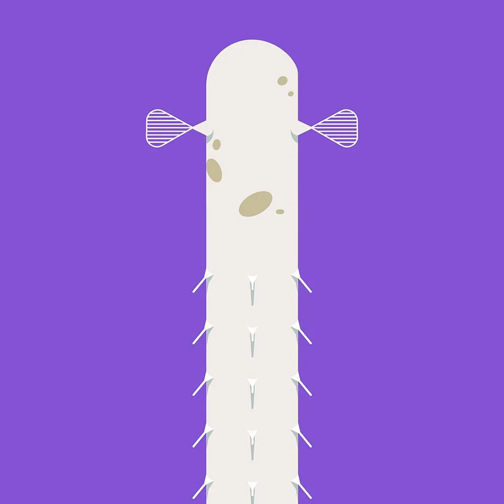 Maria Centola showcases her design and illustration skills in mobile ...