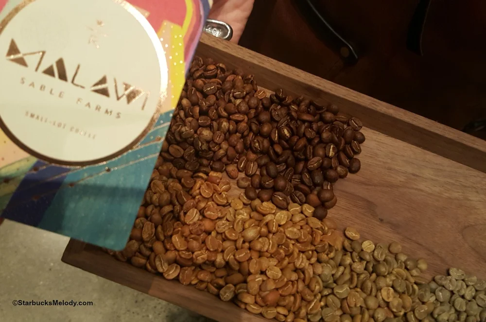 Malawi Sable Farms — Discover Starbucks Reserve