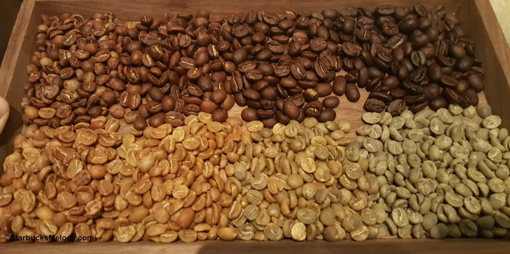 Malawi Sable Farms — Discover Starbucks Reserve