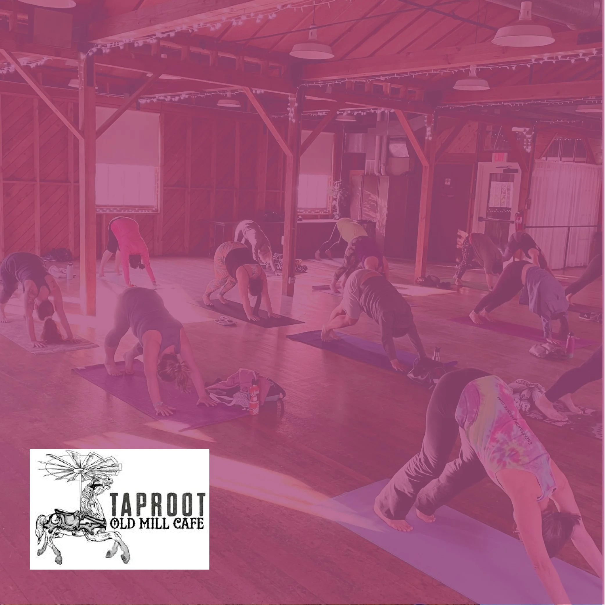 Upcoming Events | Yoga Classes in Oregon and Washington Breweries — Yoga + Beer®