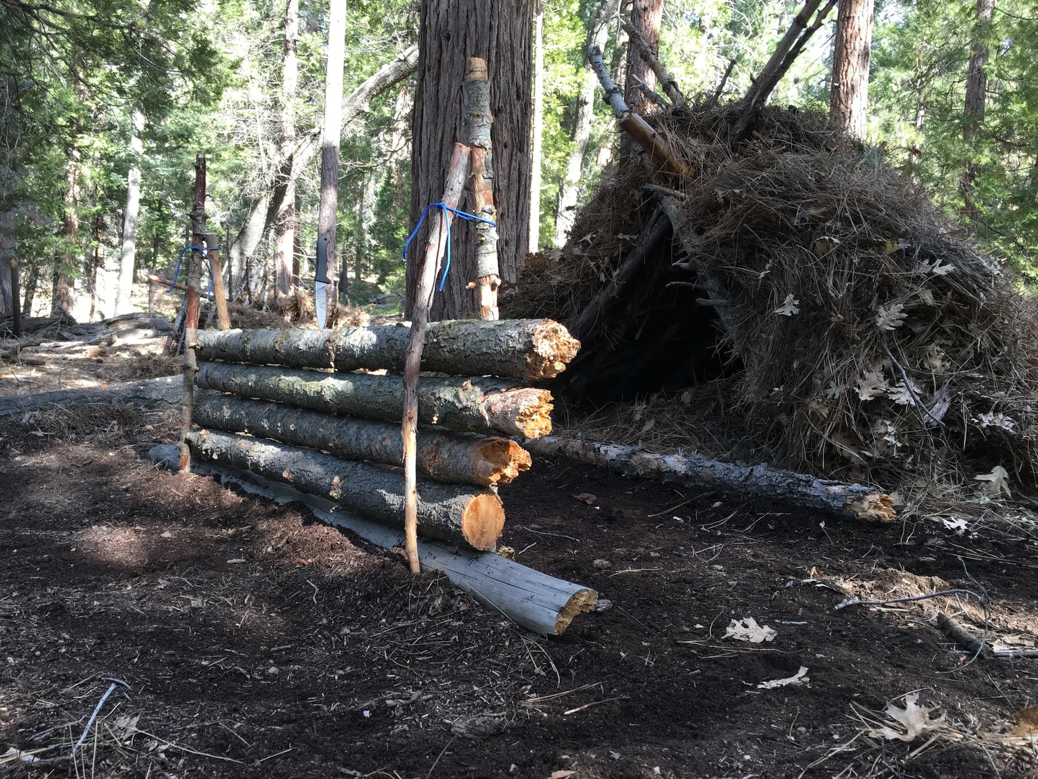 Weekend Survival Skills Camp — Thomas Coyne Survival Schools