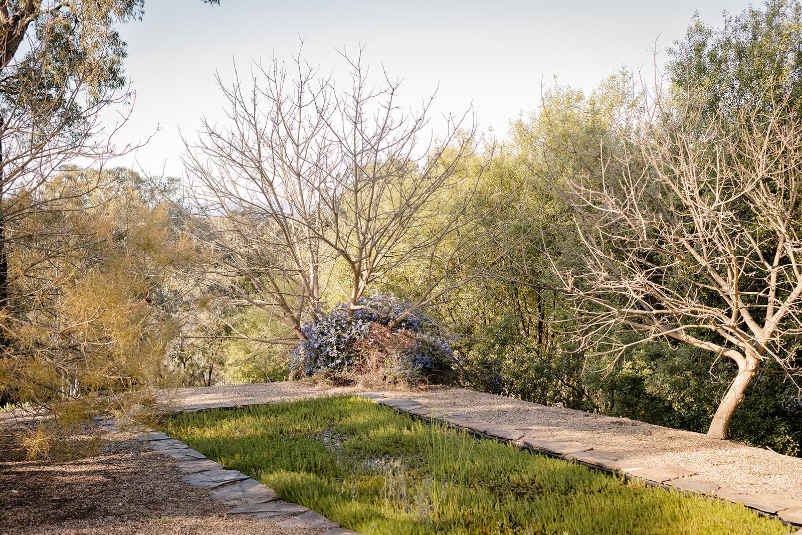 Panton Hill Garden — Ashley James Ashley James Gardens