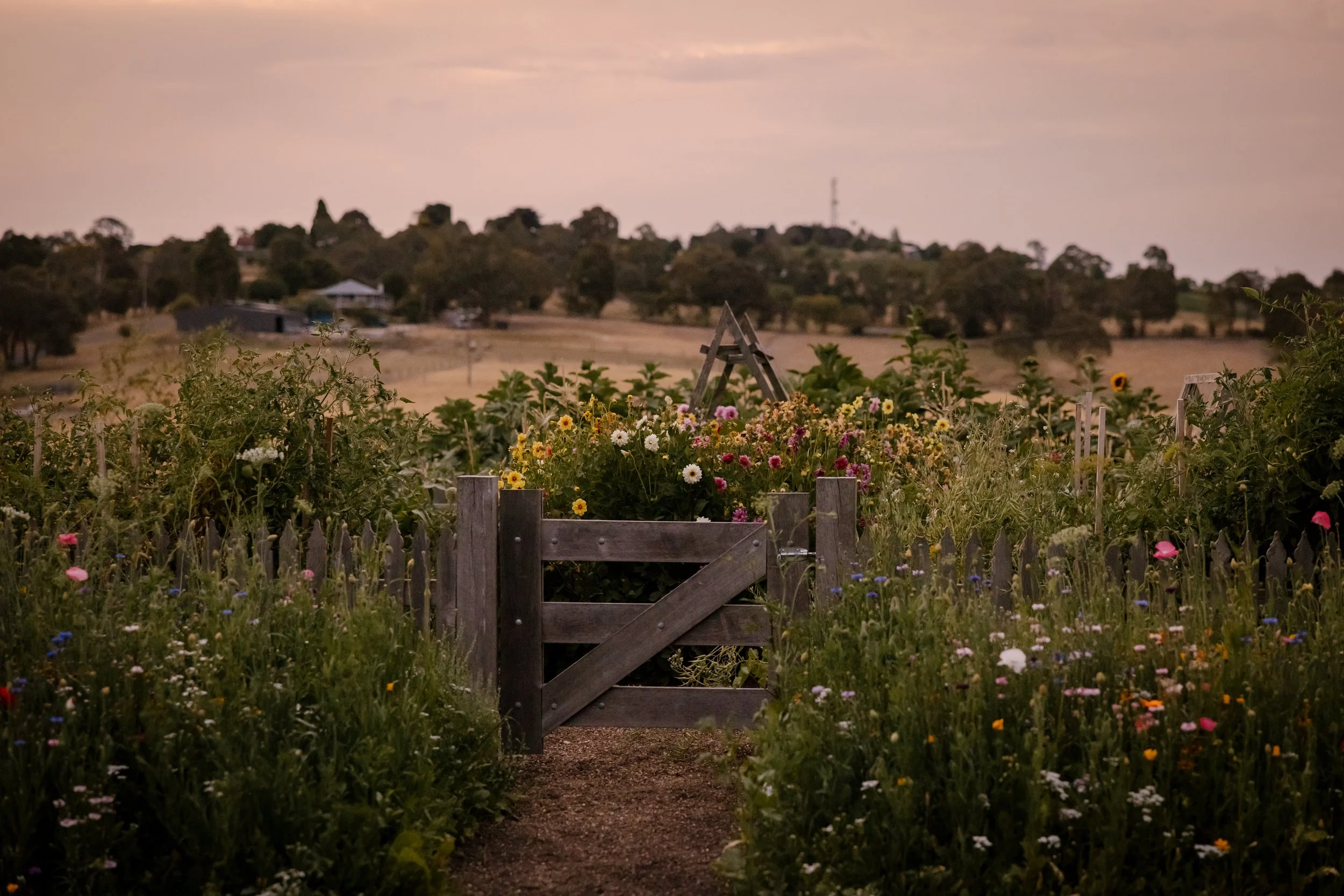 The Potager — Ashley James Ashley James Gardens