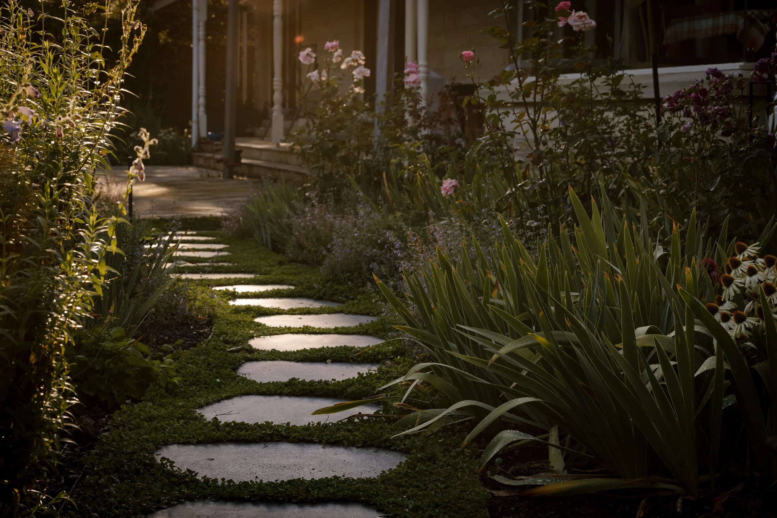 Donvale Garden — Ashley James Ashley James Gardens