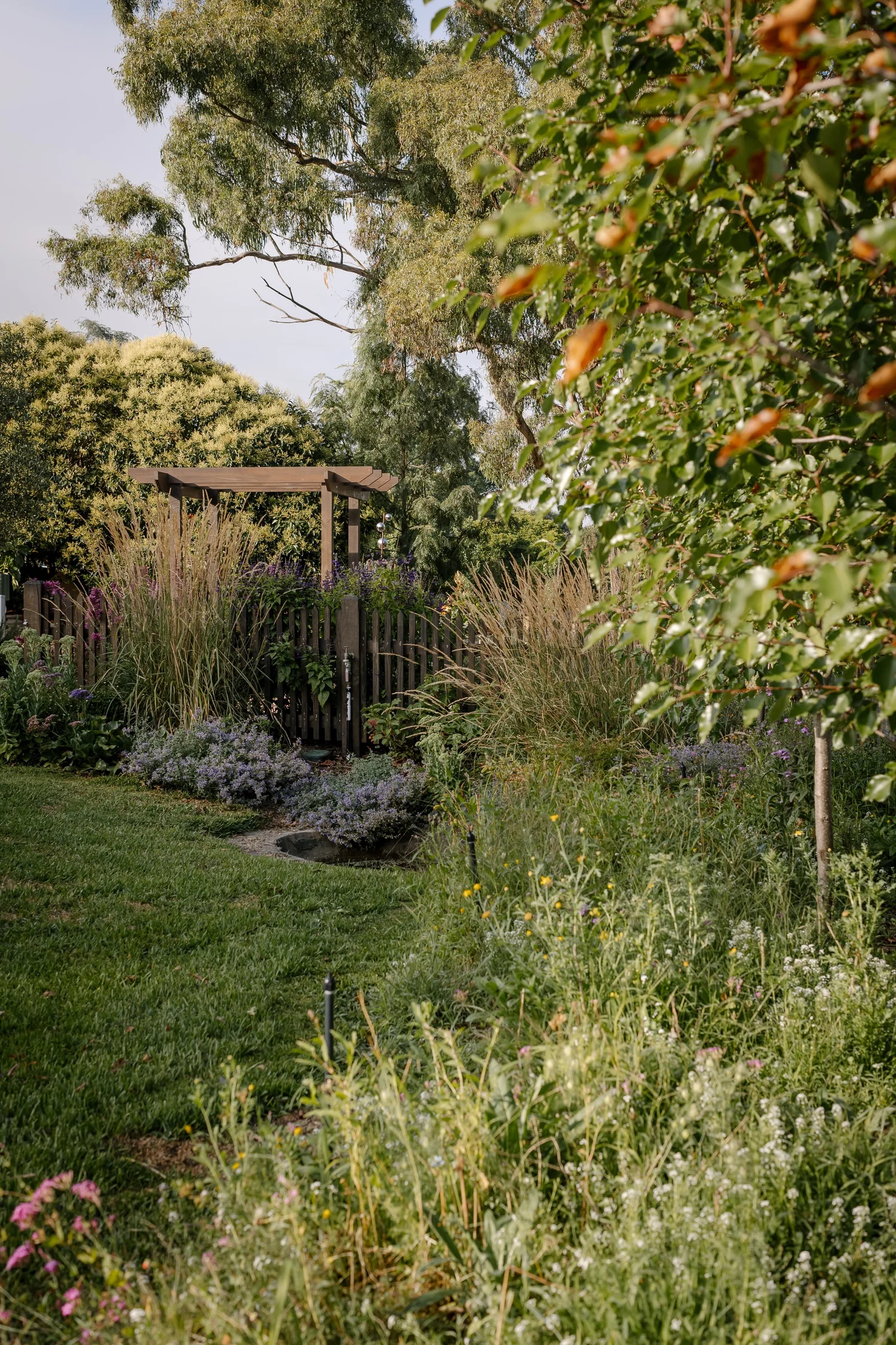 Eltham Garden — Ashley James Ashley James Gardens