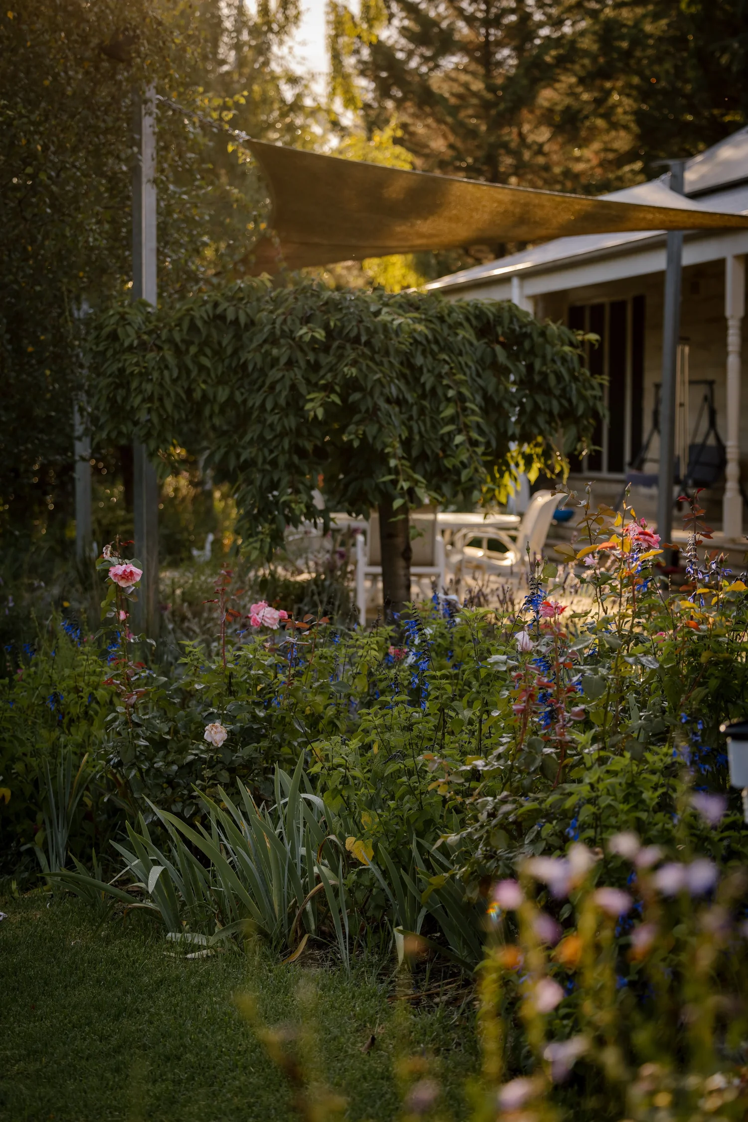 Donvale Garden — Ashley James Ashley James Gardens