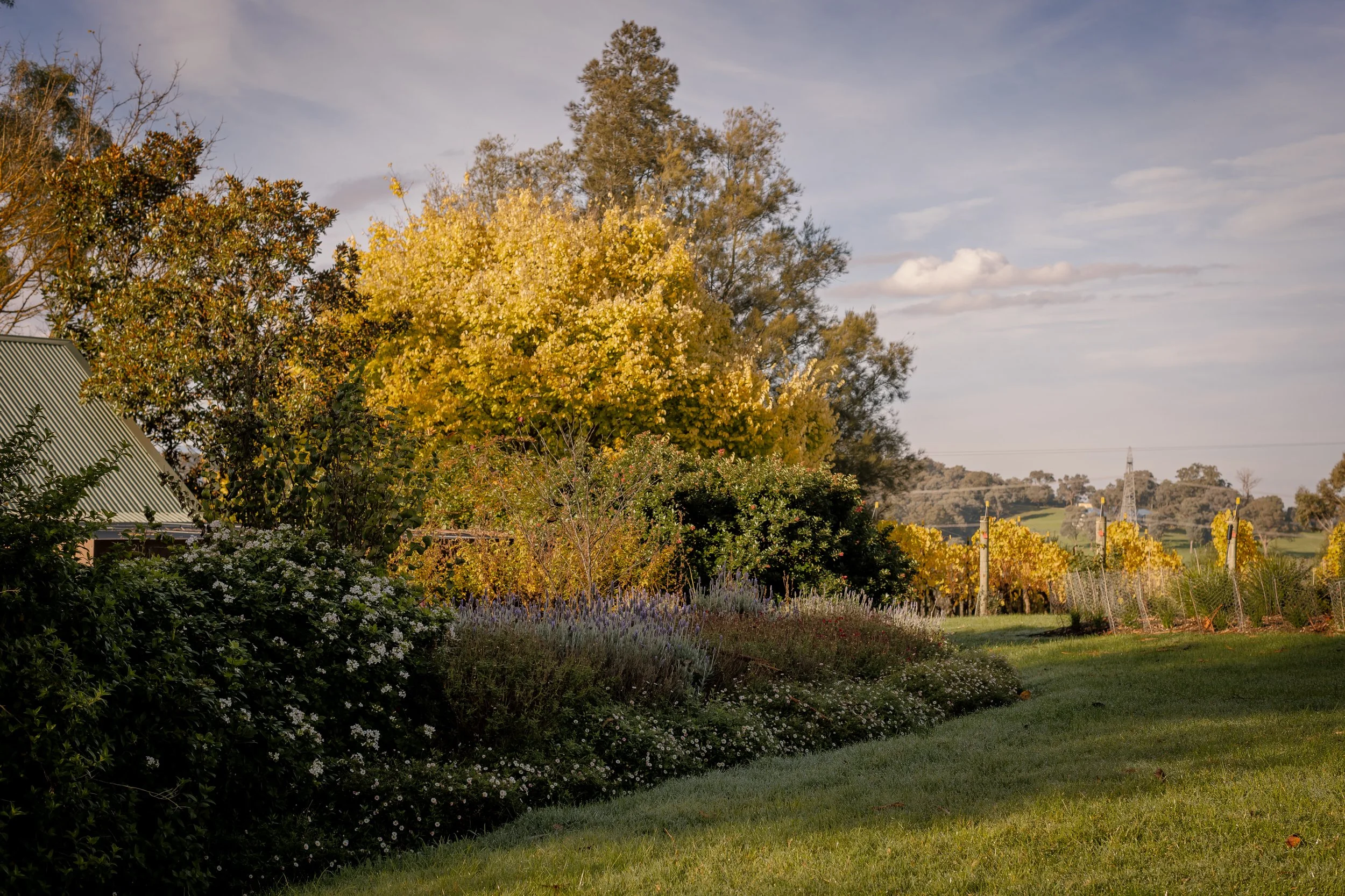 Golden Willow Estate — Ashley James Ashley James Gardens