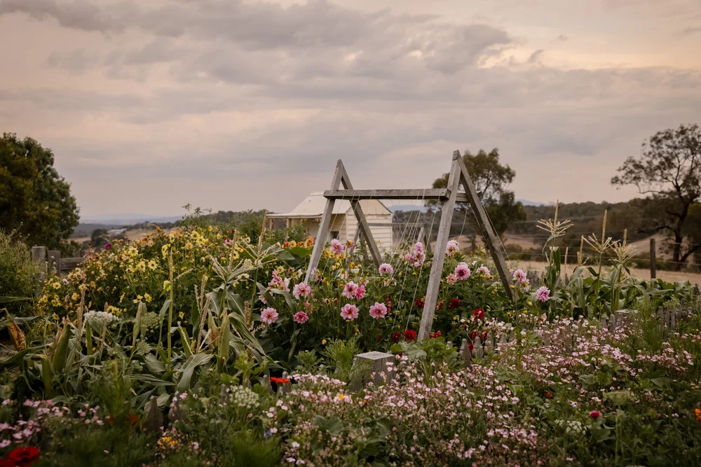 The Potager — Ashley James Ashley James Gardens
