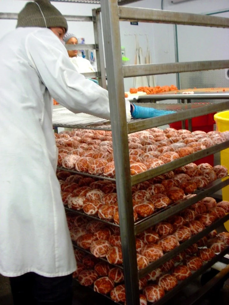 Delaware Fireball — Smoking Goose