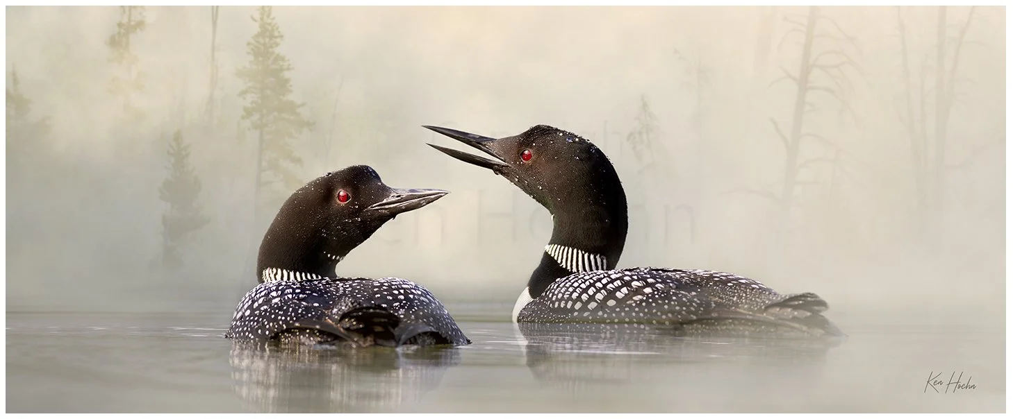 Limited Editions — The Ken Hoehn Gallery