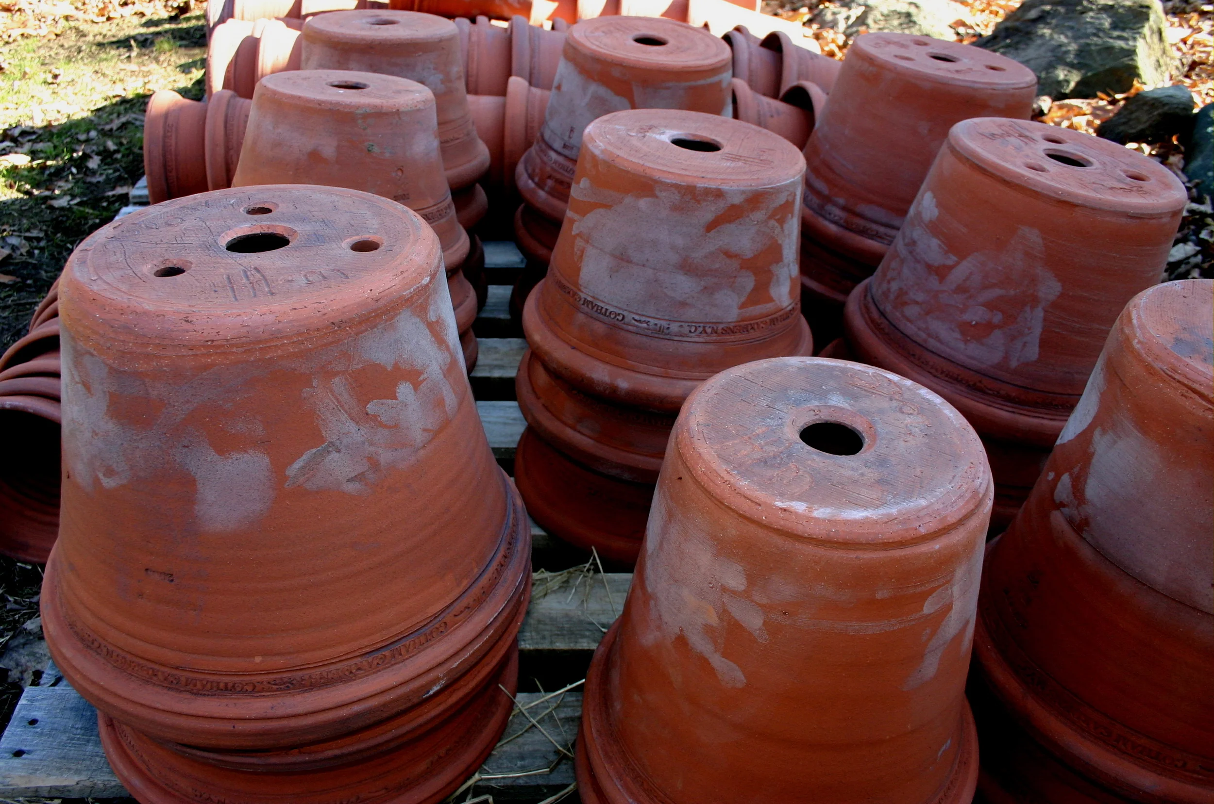 Wholesale — Guy Wolff Pottery