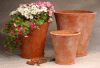 The Guild — Guy Wolff Pottery
