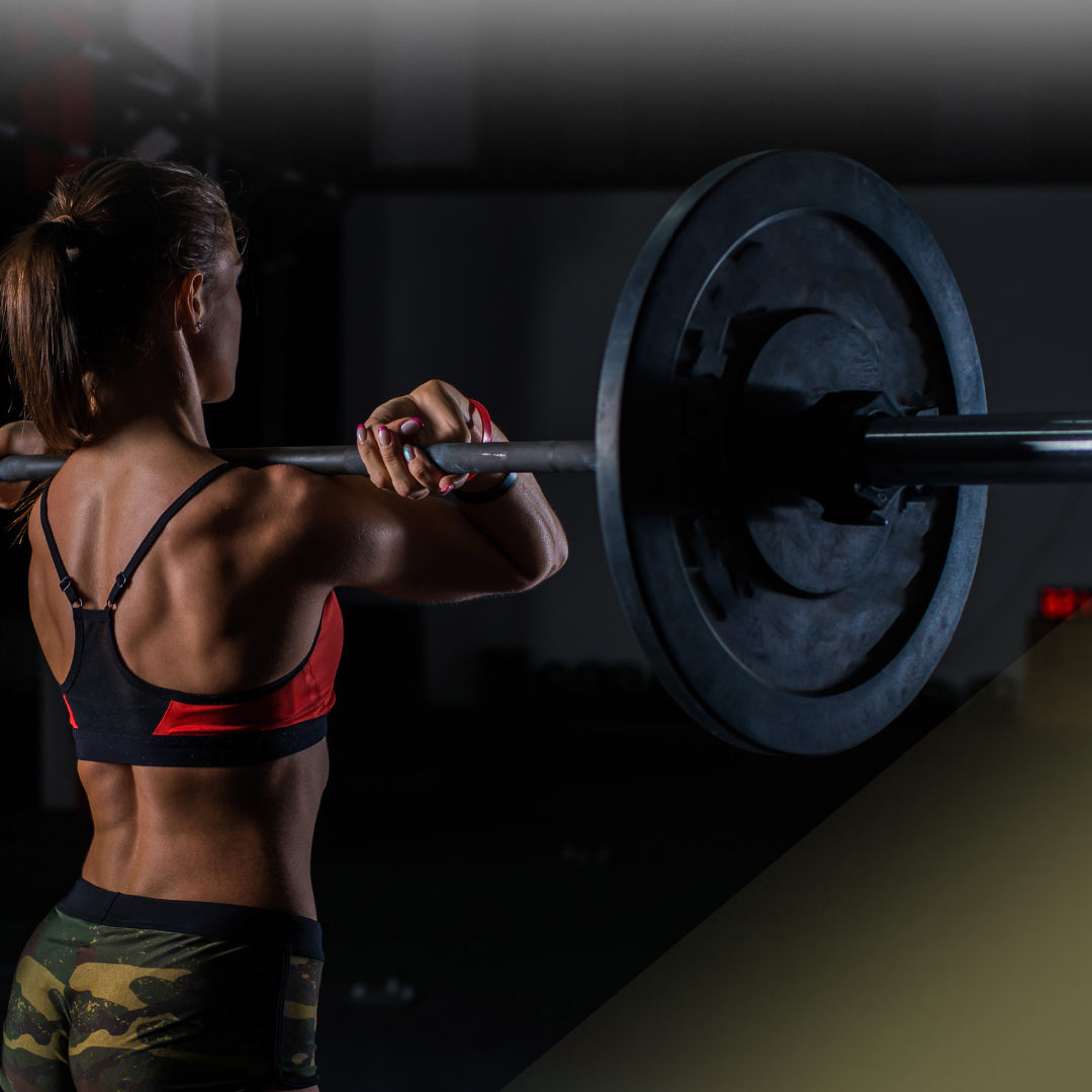 Wild Training Gym | Voted Best Gym in the UK | High Wycombe