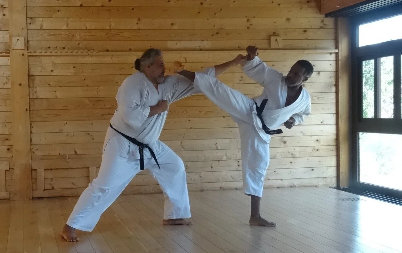 5 key leadership principles to learn from Karate Do — hervé