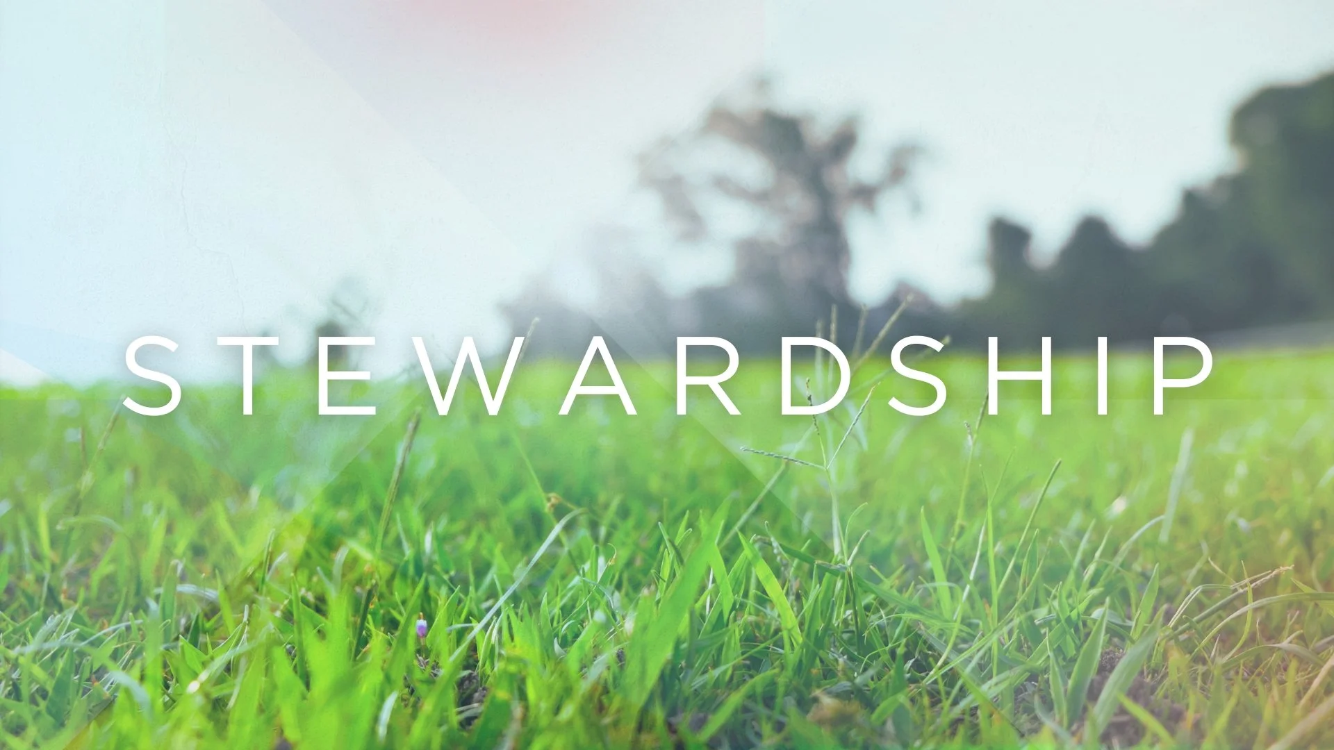 Stewardship Series — LifeShare Church