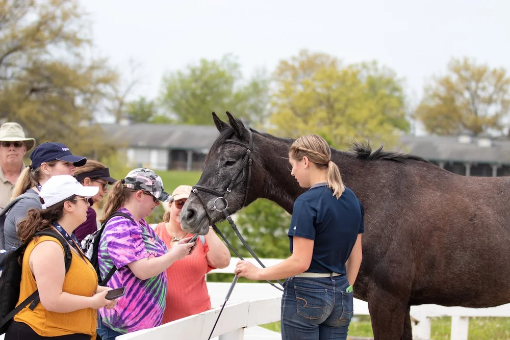 Tours — The Secretariat Center