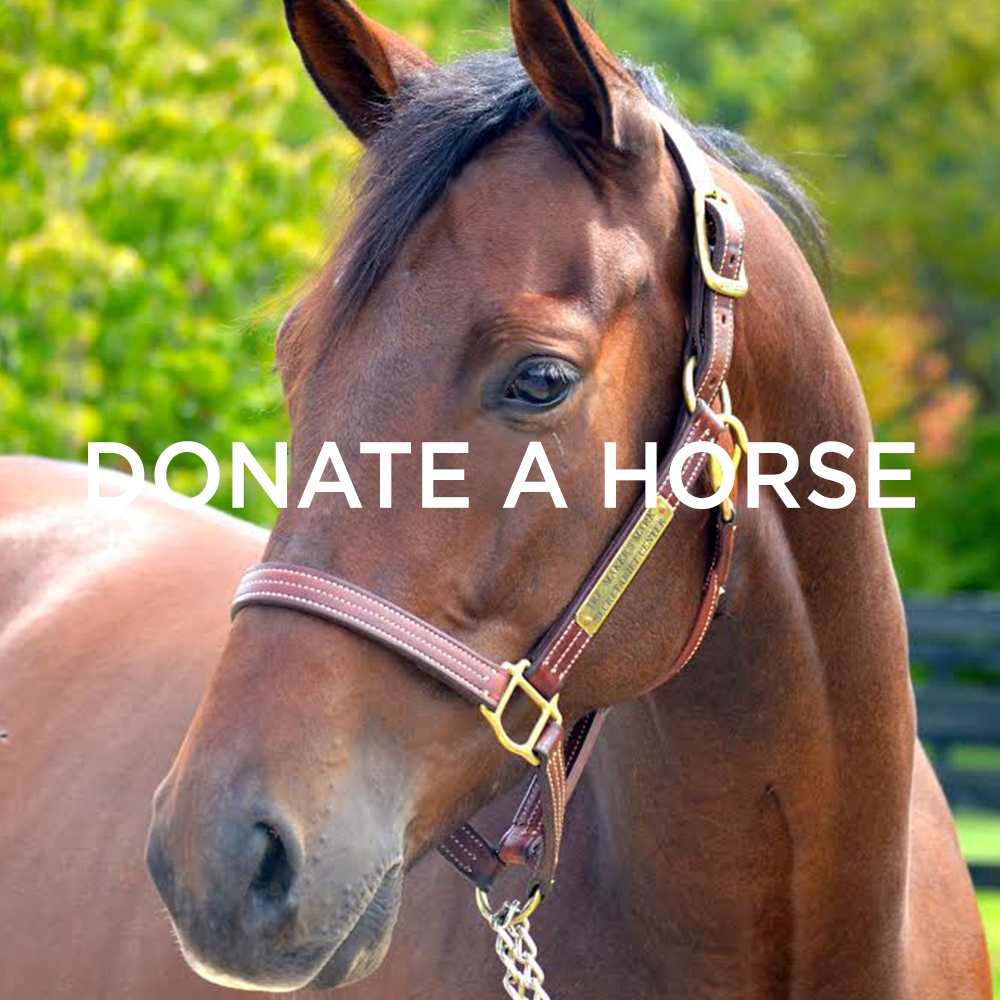 The Secretariat Center