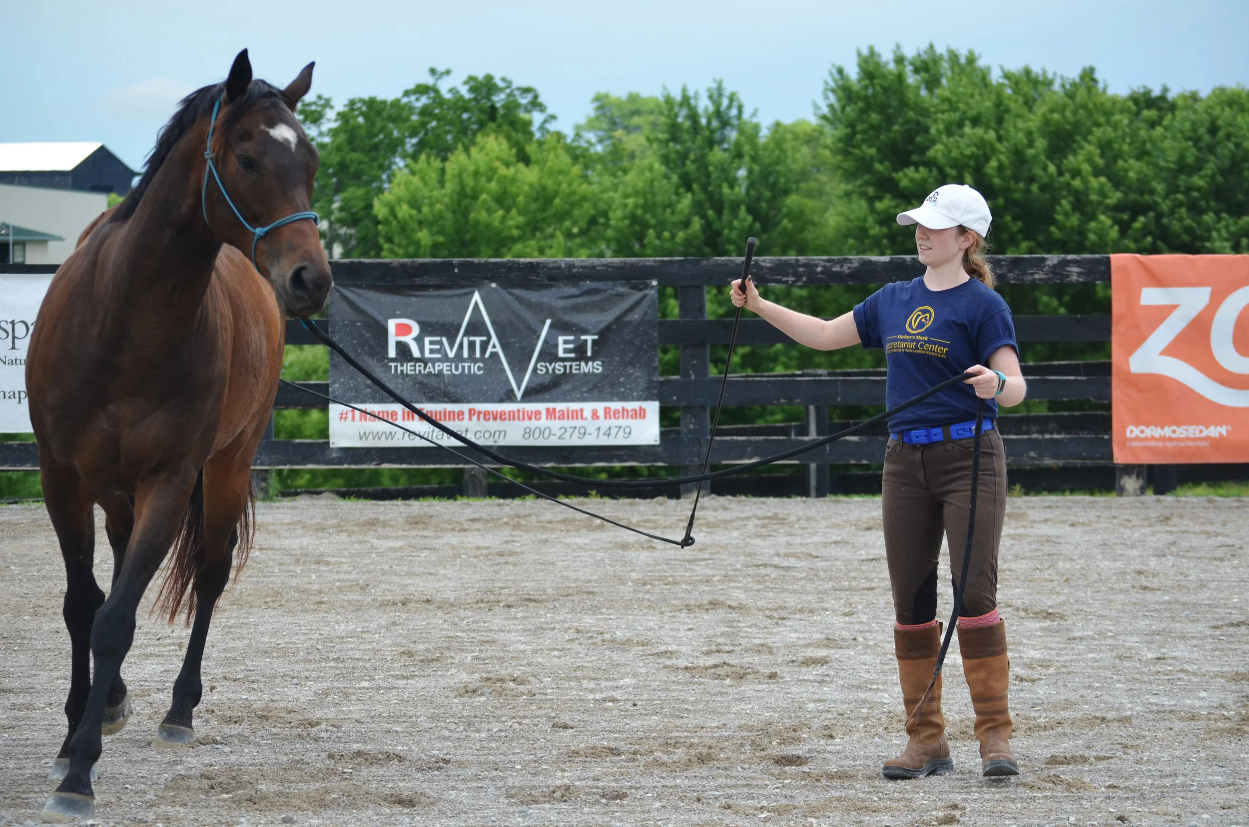 Internships — The Secretariat Center