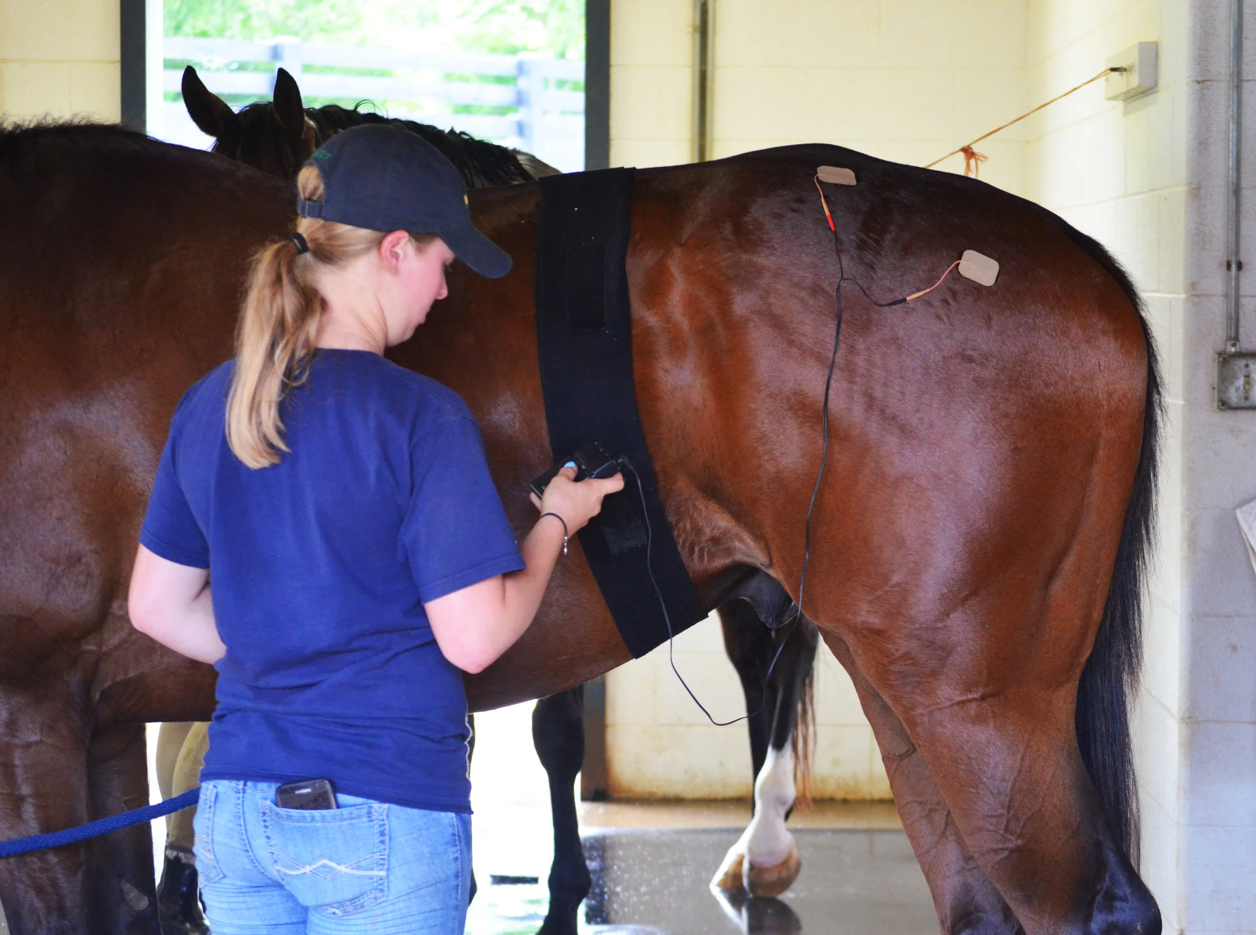 Internships — The Secretariat Center