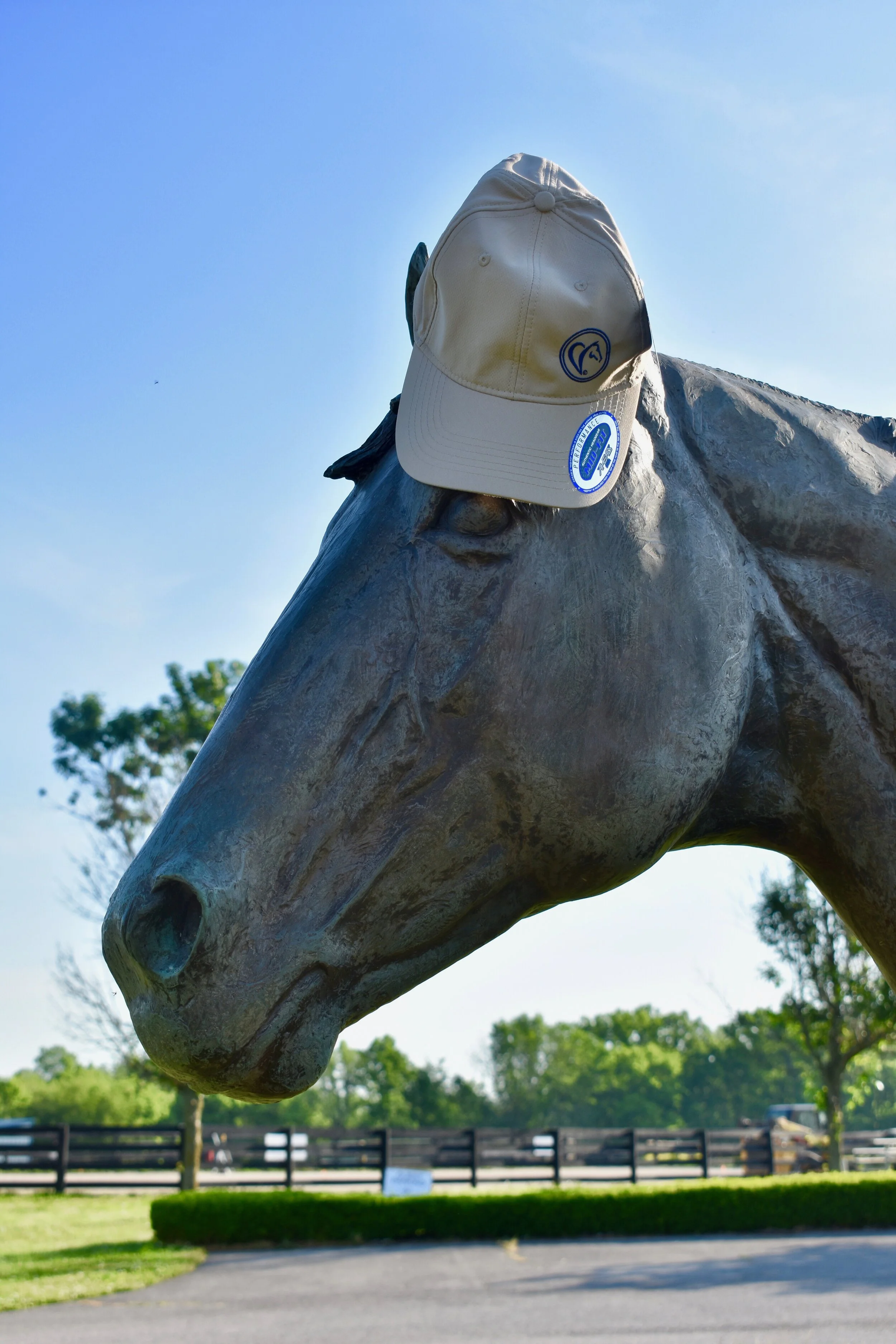 Shop — The Secretariat Center