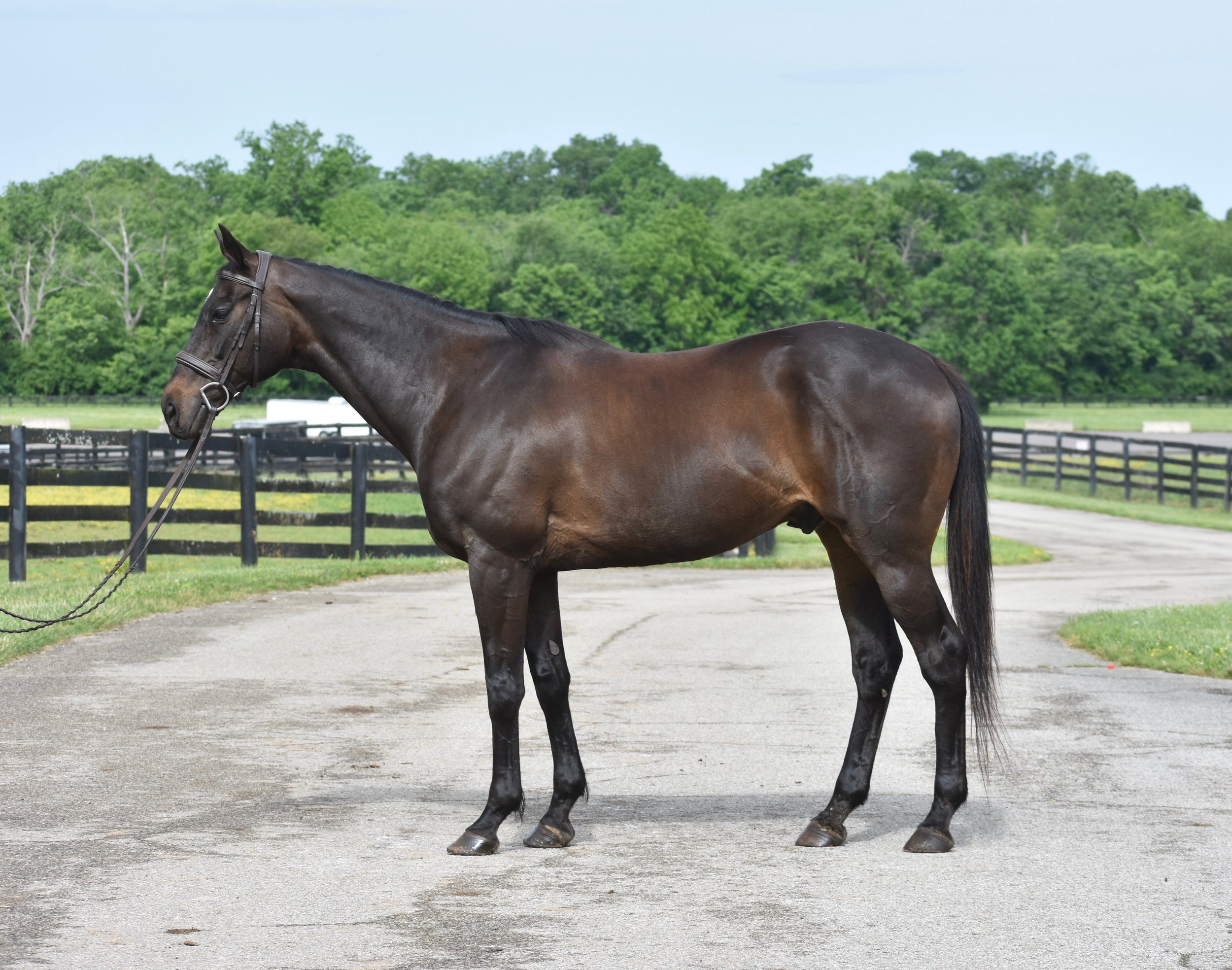 The Secretariat Center