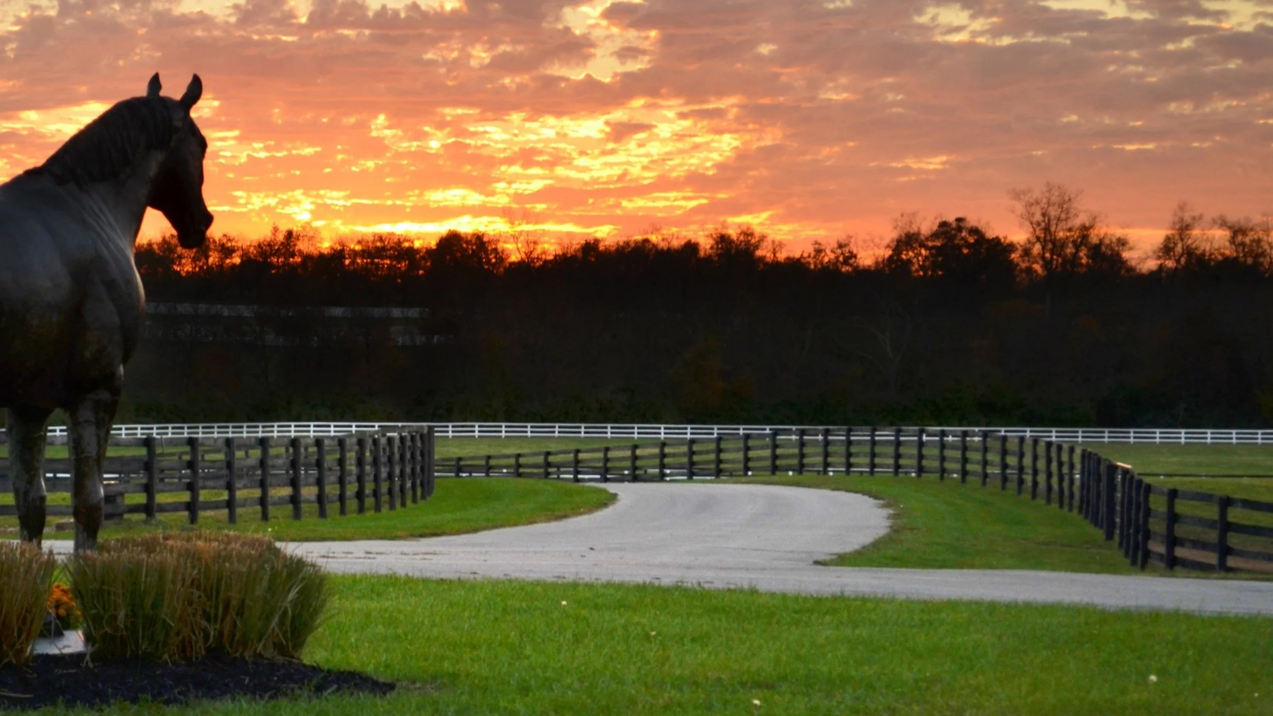 The Secretariat Center