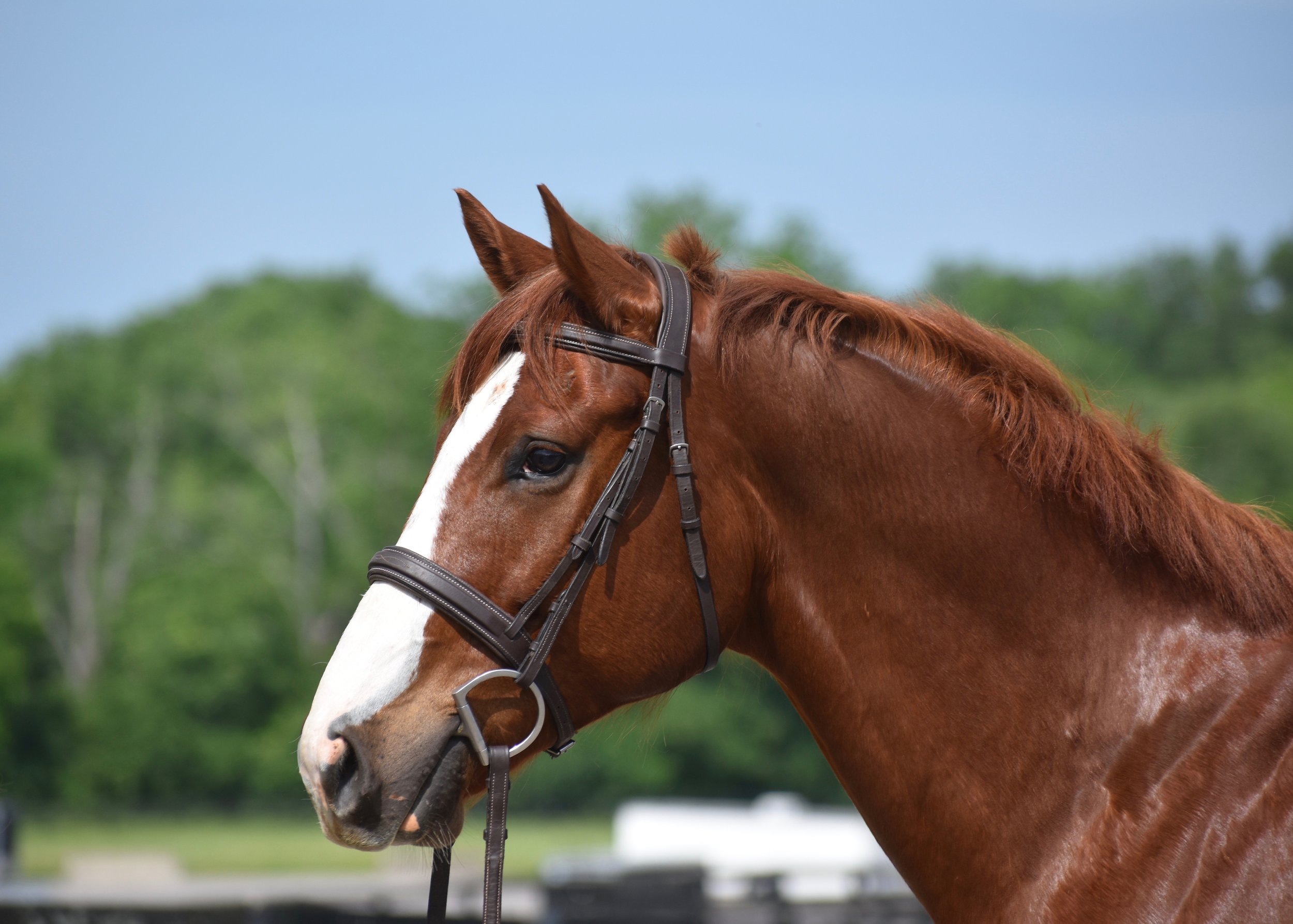 The Secretariat Center
