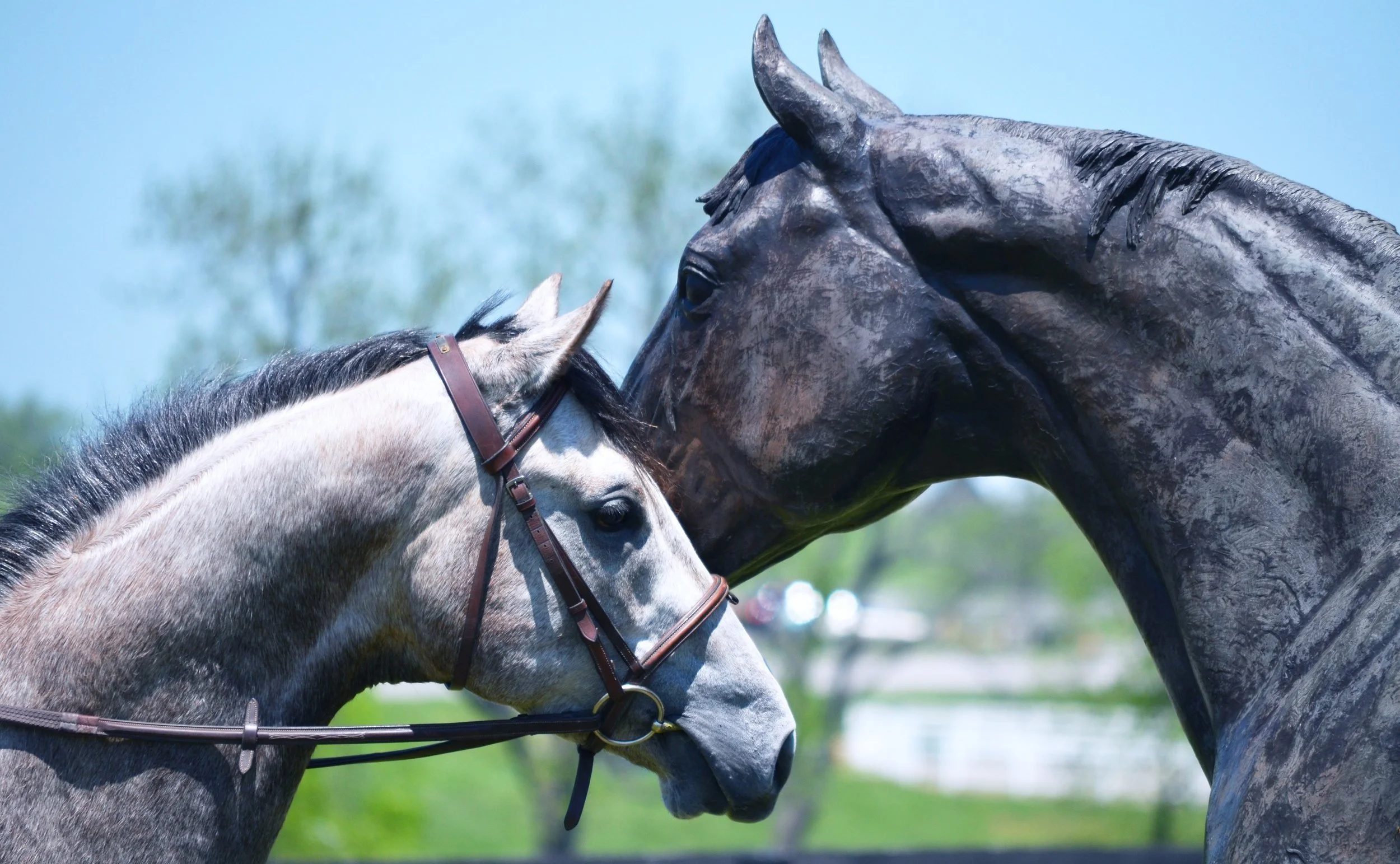 History — The Secretariat Center