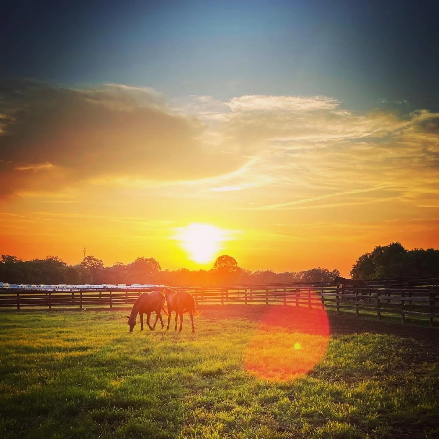 Contact Us — The Secretariat Center