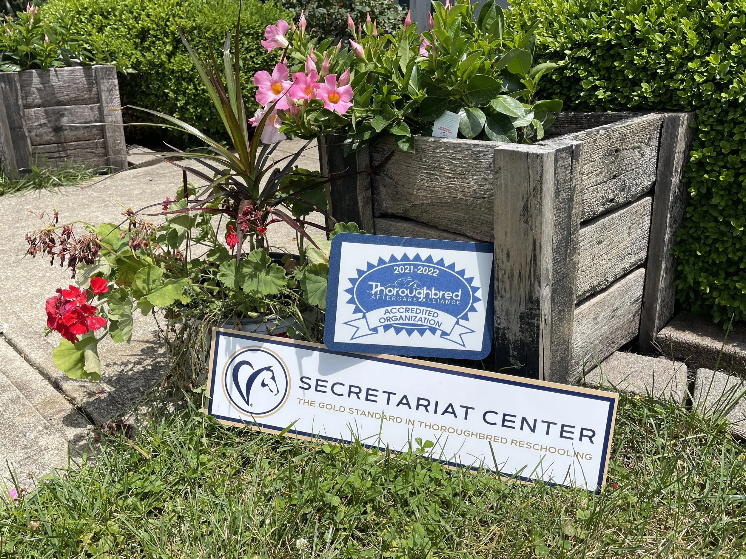 About us and Aftercare — The Secretariat Center
