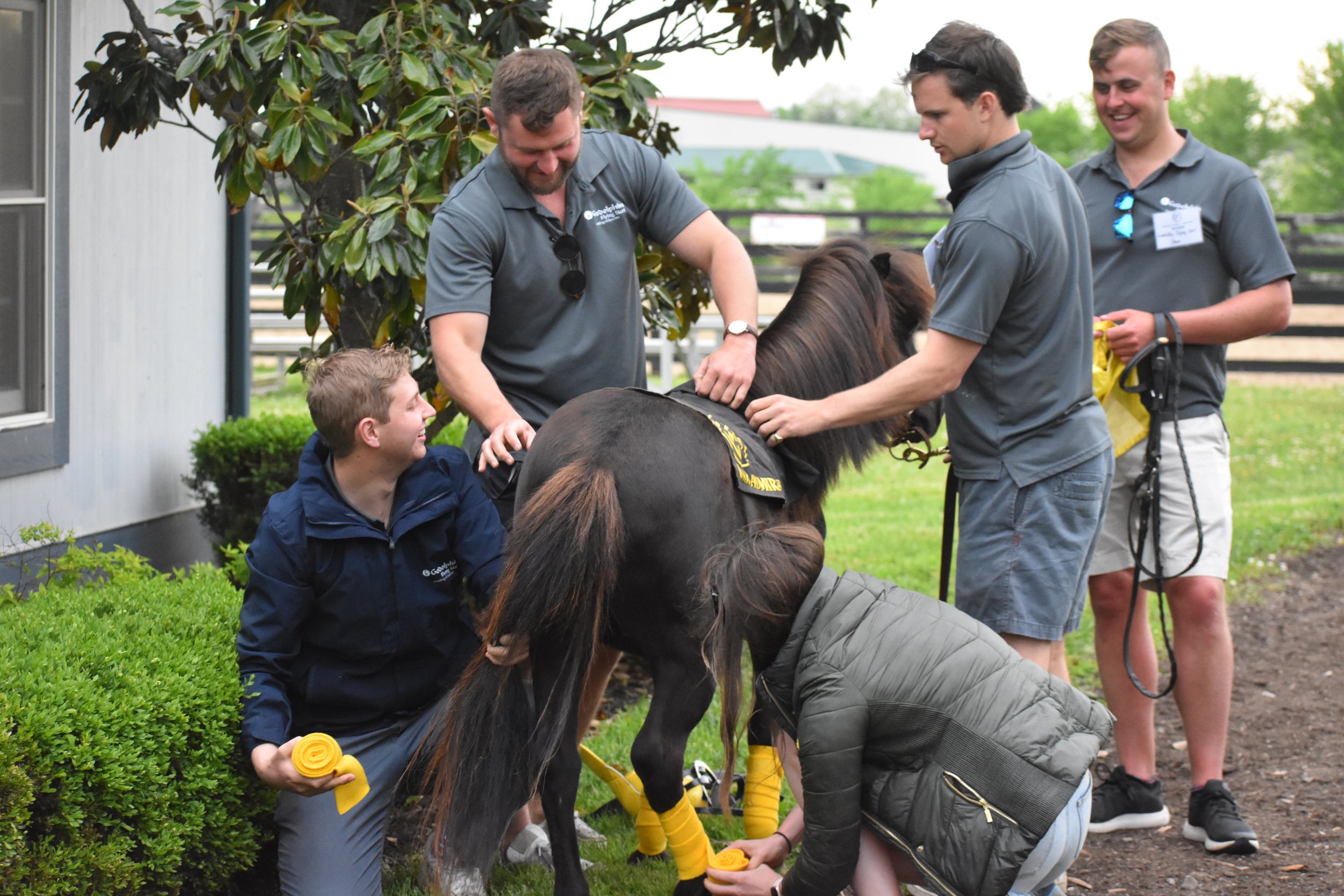 Volunteer — The Secretariat Center