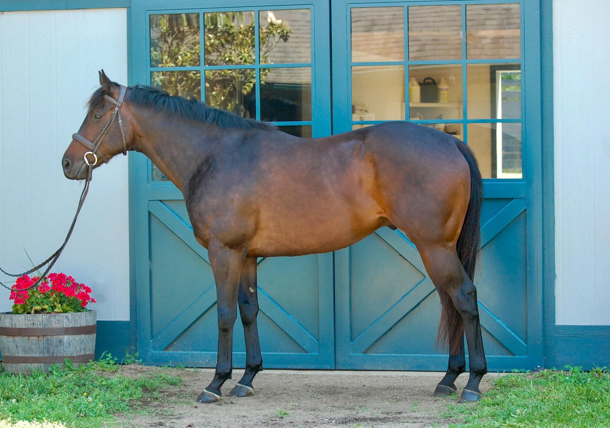 The Secretariat Center