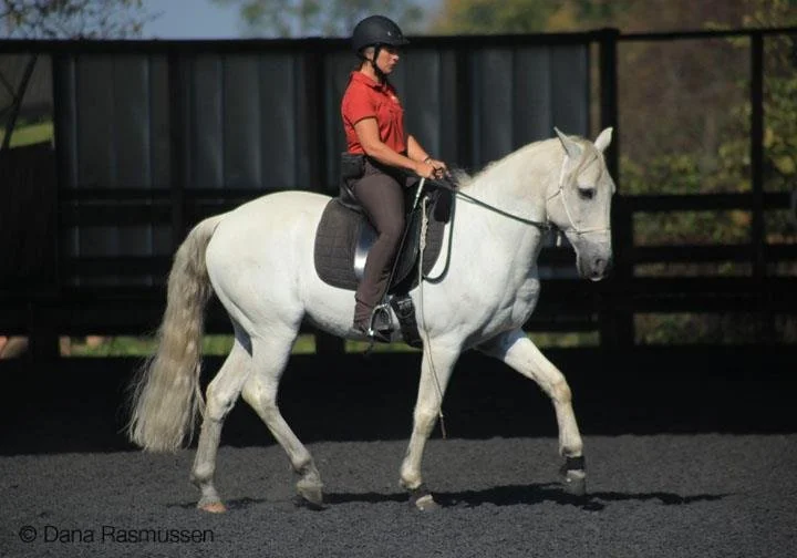 Staff — The Secretariat Center